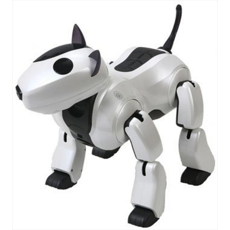 Genibo SD | On Sale | Your Friendly Robot Dog | Tribotix