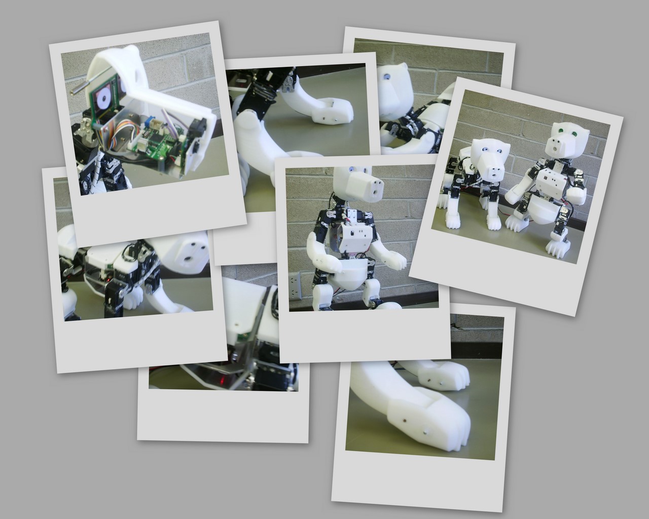 Robot Bear Collage | Tribotix